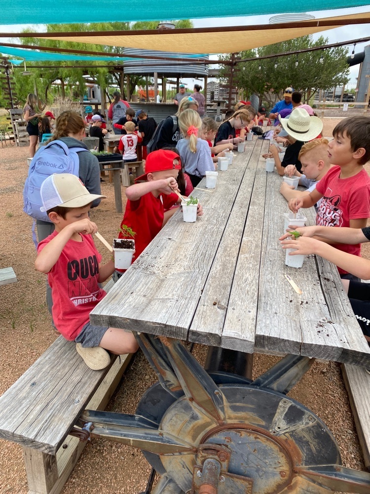 Live Feed | Christoval ISD